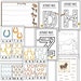 Horse Unit Study, Horse 3 Part Cards, Horse Activities, Horse ...
