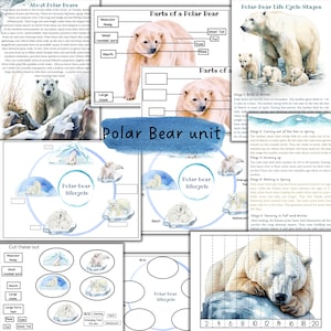 Polar Regions Unit Study, Arctic Unit Study, Antarctica Unit Study ...