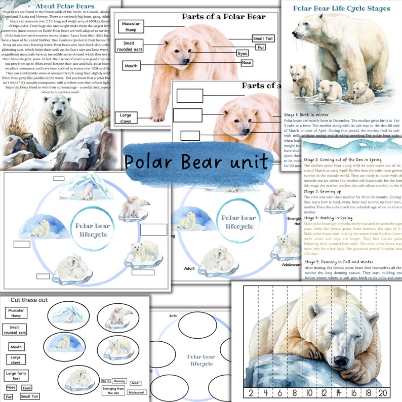 Polar Regions Unit Study, Arctic Unit Study, Antarctica Unit Study ...