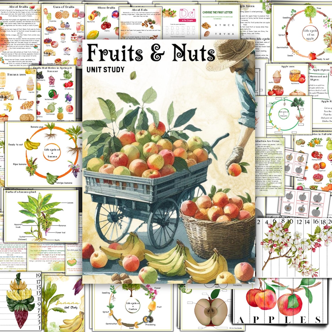 BOTANY Bundle, Flower Unit, Roots Unit, Fruits Unit, Trees Unit, Leaf ...