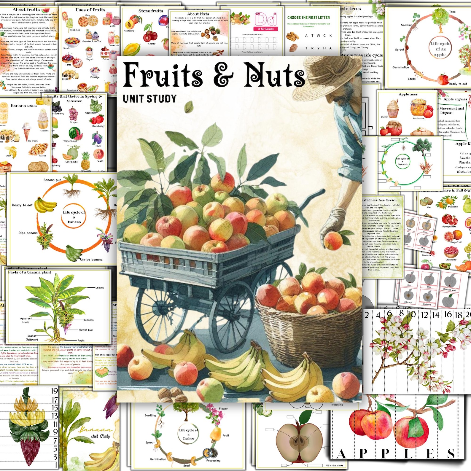 BOTANY Bundle, Flower Unit, Roots Unit, Fruits Unit, Trees Unit, Leaf ...