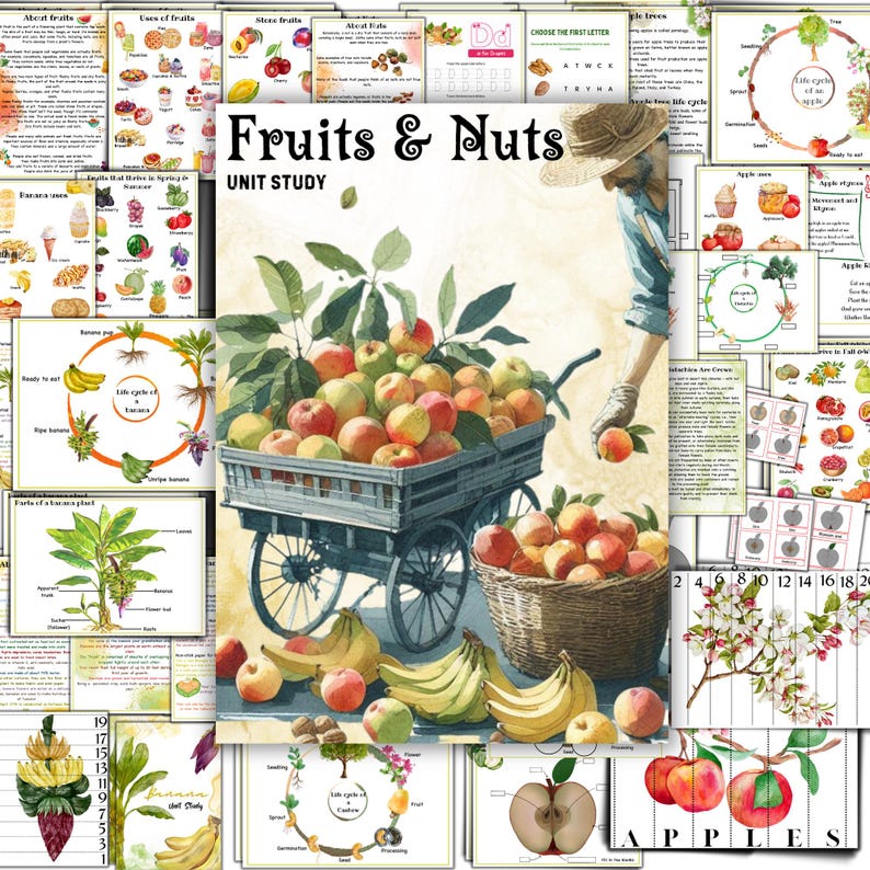 BOTANY Bundle, Flower Unit, Roots Unit, Fruits Unit, Trees Unit, Leaf ...