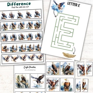 Bald Eagle Mini Unit, Bald Eagle Lifecycle, Bald Eagle Printable ...