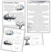 Storm Unit Study, Storm Activities, Tornado Unit, Thunderstorm ...