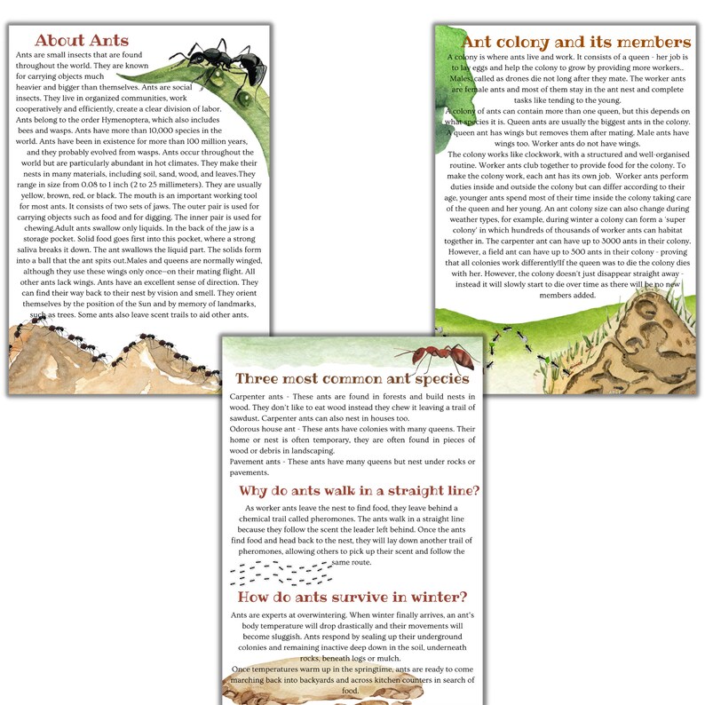 Ant Mini Unit Study, Ant Printable Puzzle, Ant Printable Activities ...
