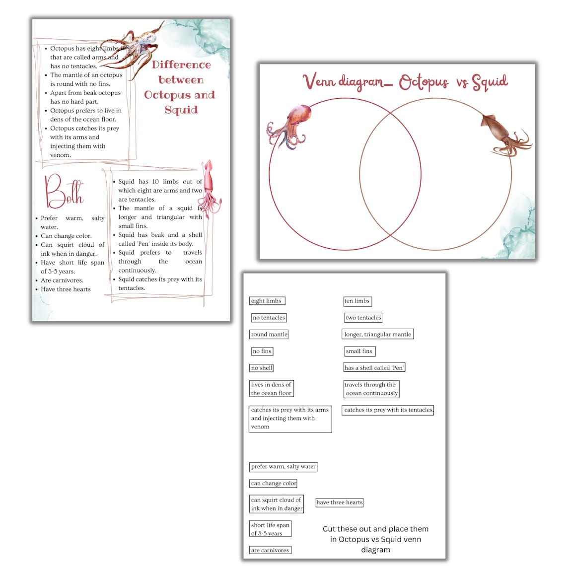 Octopus Mini Unit Study, Octopus Printable Puzzle, Octopus Activities ...