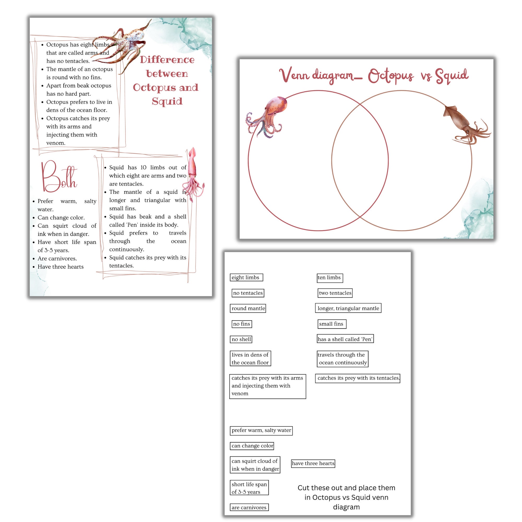 Octopus Mini Unit Study, Octopus Printable Puzzle, Octopus Activities ...