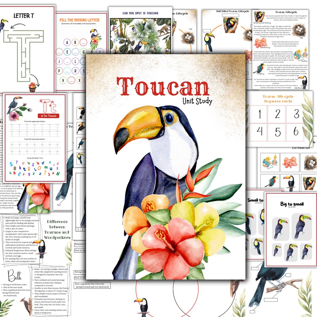 Toucan Unit Study, Toucan Anatomy, Rainforest Animals Unit, Toucan ...