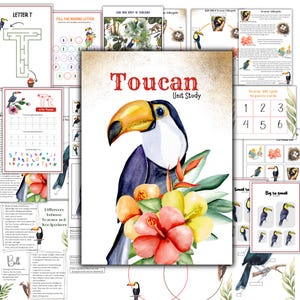 Toucan Unit Study, Toucan Anatomy, Rainforest Animals Unit, Toucan ...