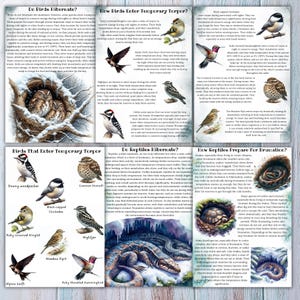 Hibernation Unit Study, Winter Sleep Unit Study, Winter Unit, Winter ...