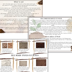 Garden Unit Study, Roots Anatomy, Seed Anatomy, Soil Layers, Roots ...
