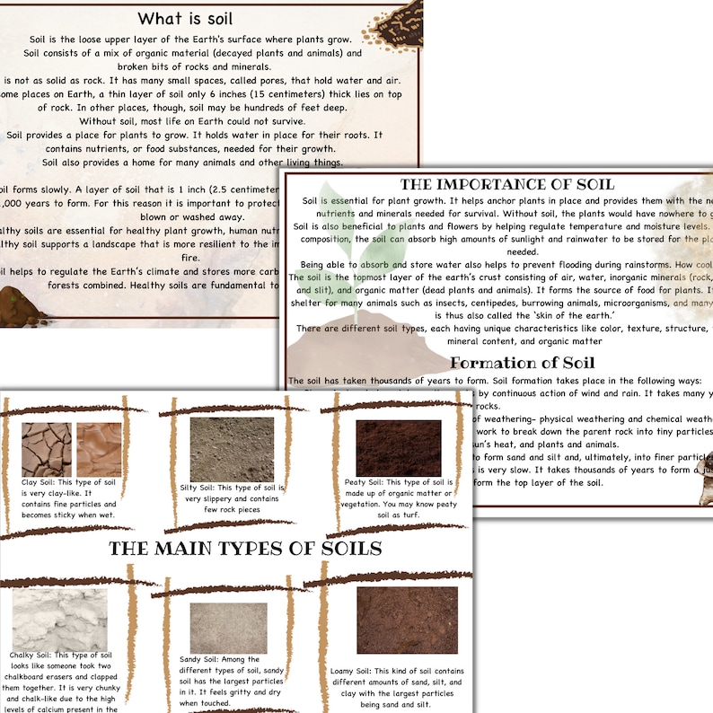 Garden Unit Study Roots Anatomy Seed Anatomy Soil Layers - Etsy