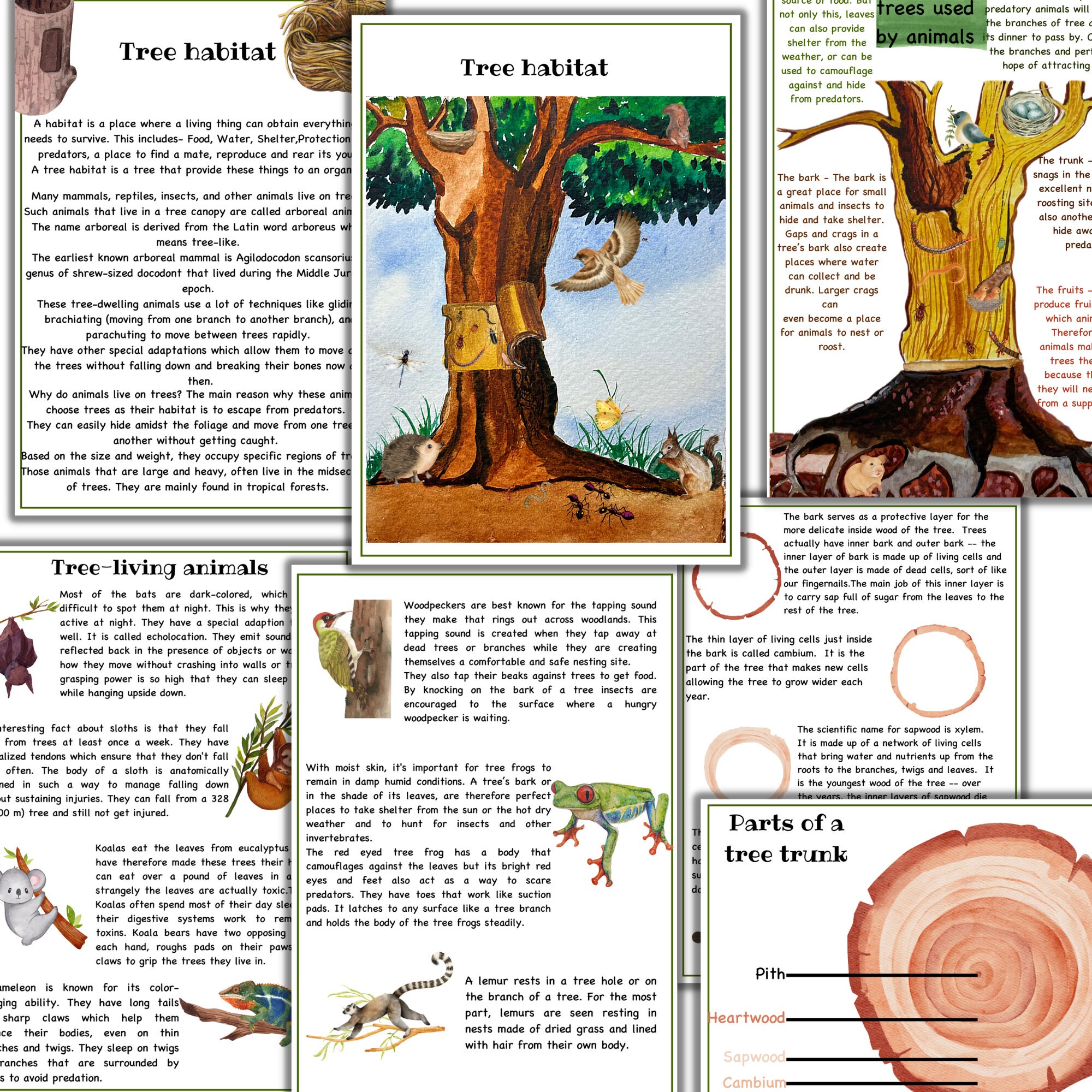 Trees Leaves Unit Study Tree Forms Parts of a Tree Parts of - Etsy