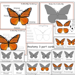 Butterfly Unit Study, Butterfly Printable Puzzle, Butterfly 3 Part ...