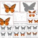 Butterfly Unit Study, Butterfly Printable Puzzle, Butterfly 3 Part ...