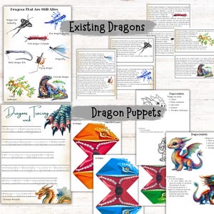 Dragons Unit Study, Mythology Unit Study, Dragon Anatomy, Dragon Life ...