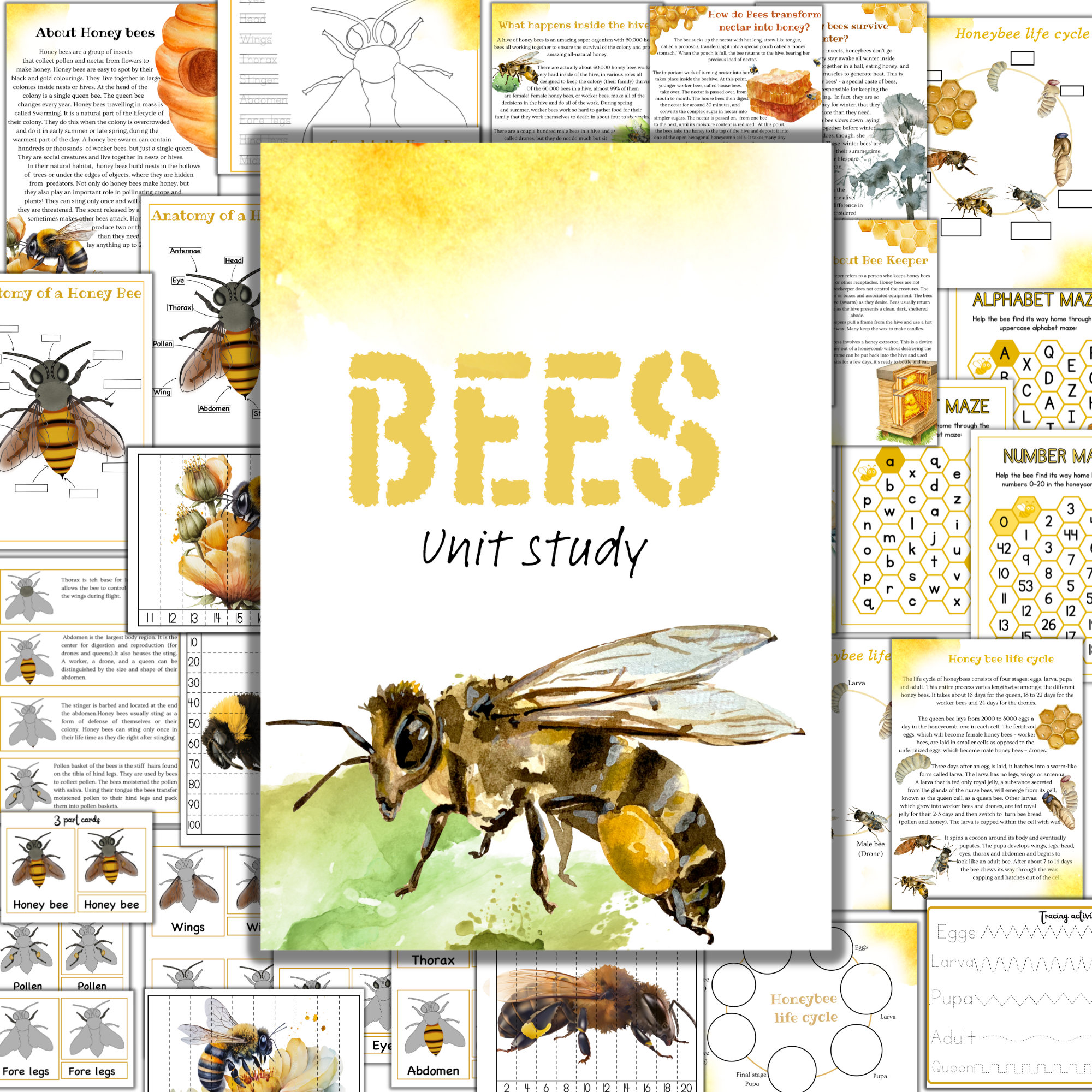 Honey Bee Unit Study Honey Bee Puzzle Printable Honey Bees - Etsy