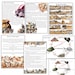 Rocks Mineral Gemstones Units Study, Rocks Printables, Geology Unit ...