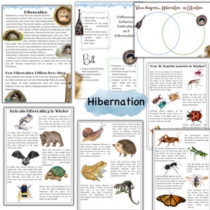 Winter Unit Study, Winter Forest Animals, Snow Unit Study, Carrot Unit ...