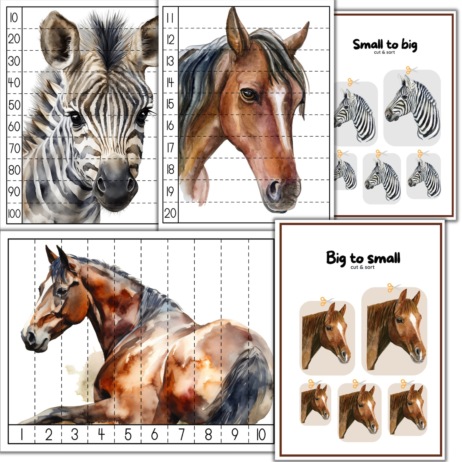Horse Unit Study, Horse 3 Part Cards, Horse Activities, Horse ...