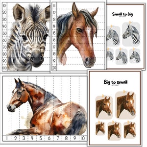 Horse Unit Study, Horse 3 Part Cards, Horse Activities, Horse ...