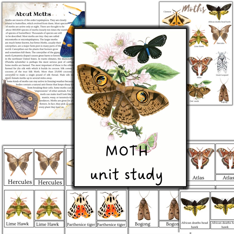Moth Unit Study Luna Moth Printable Puzzle Luna Moth 3 Part - Etsy
