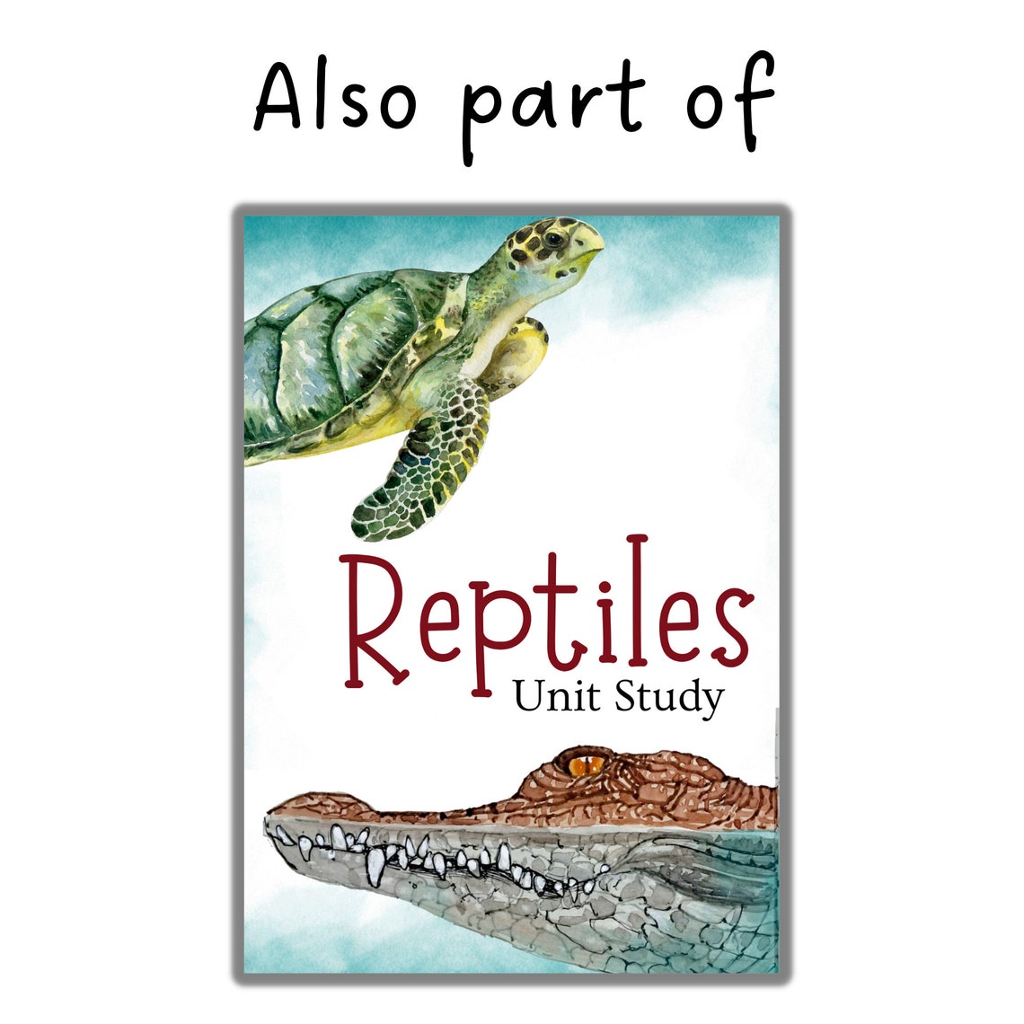 Crocodile Mini Unit Study, Crocodile Puzzle Printable, Crocodile ...