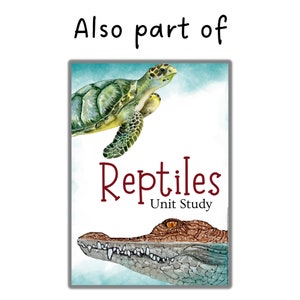 Crocodile Mini Unit Study, Crocodile Puzzle Printable, Crocodile ...