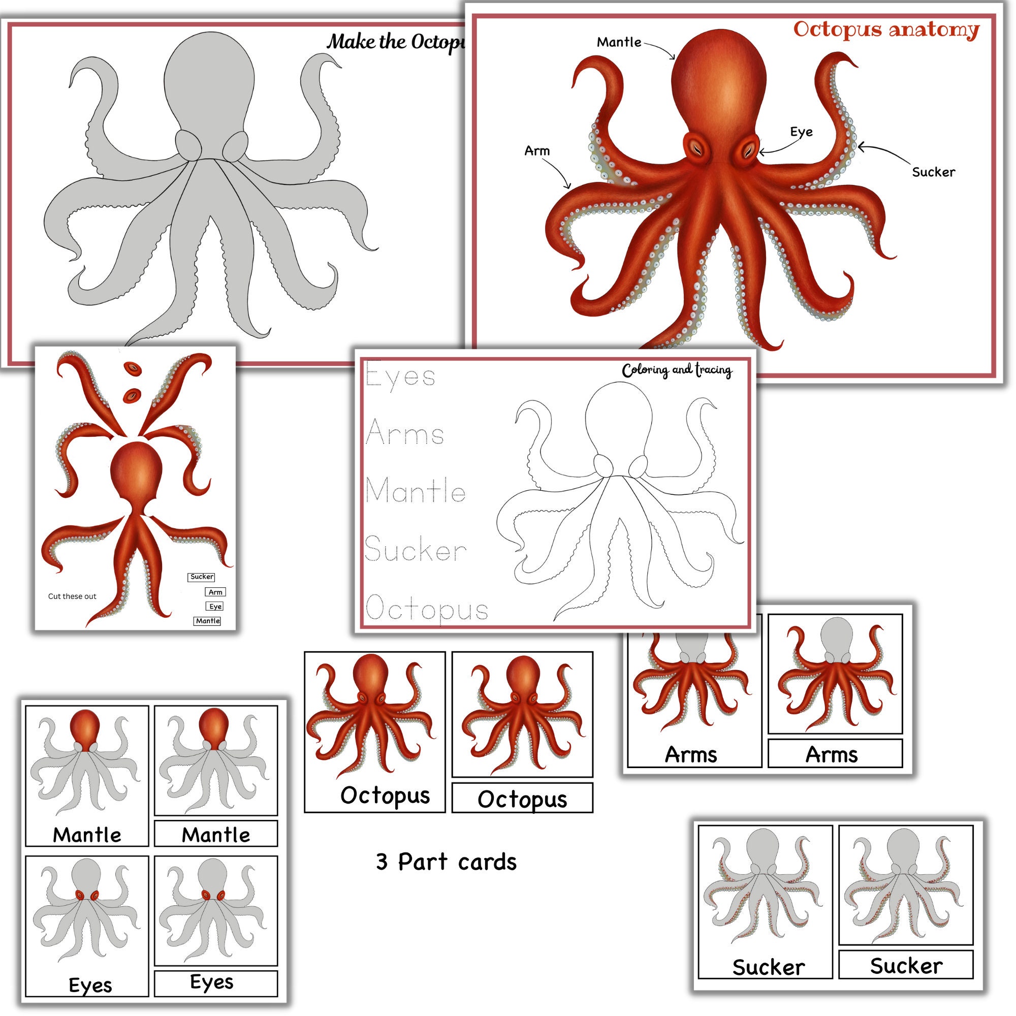 Octopus Mini Unit Study, Octopus Printable Puzzle, Octopus Activities ...