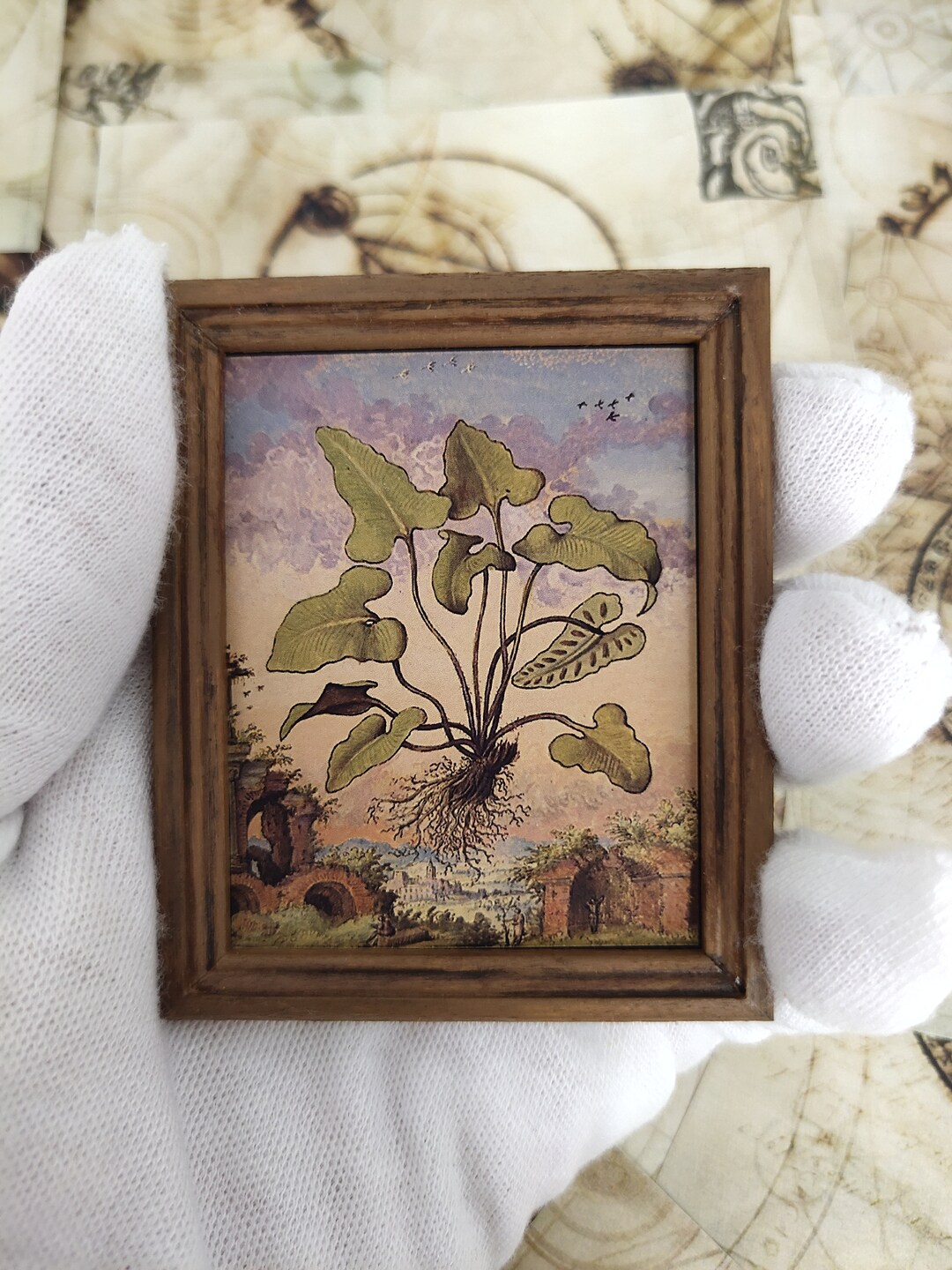 Mini Paintingfloating Taro Serieshandmade Vintage Photo Frames ...