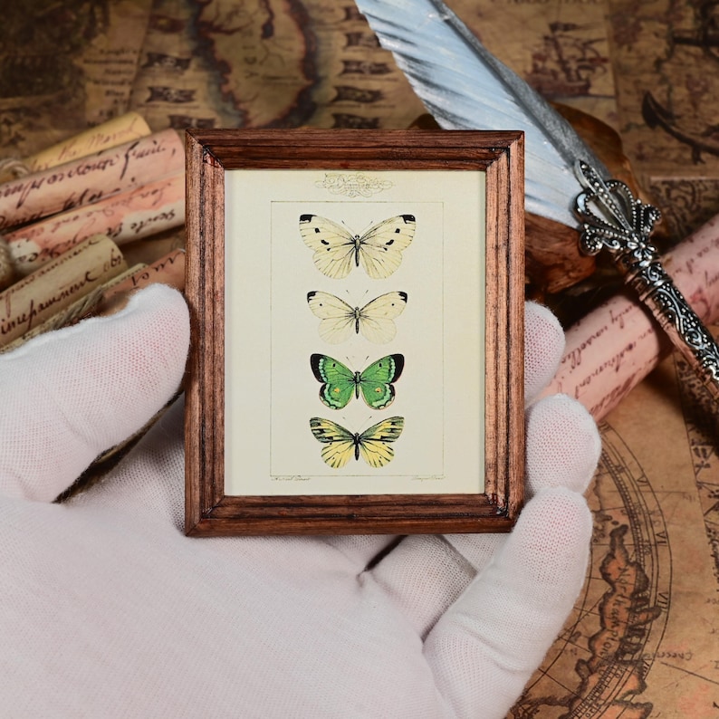 Handmade Butterfly Miniature Art: Vintage Framed BJD Dollhouse Decor ...