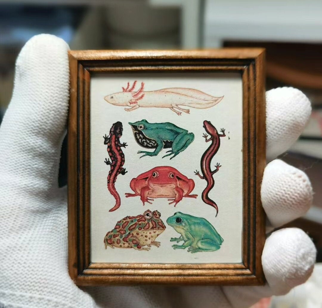 Vintage Amphibian Print: Handmade Photo Frame, BJD Dollhouse Decoration ...