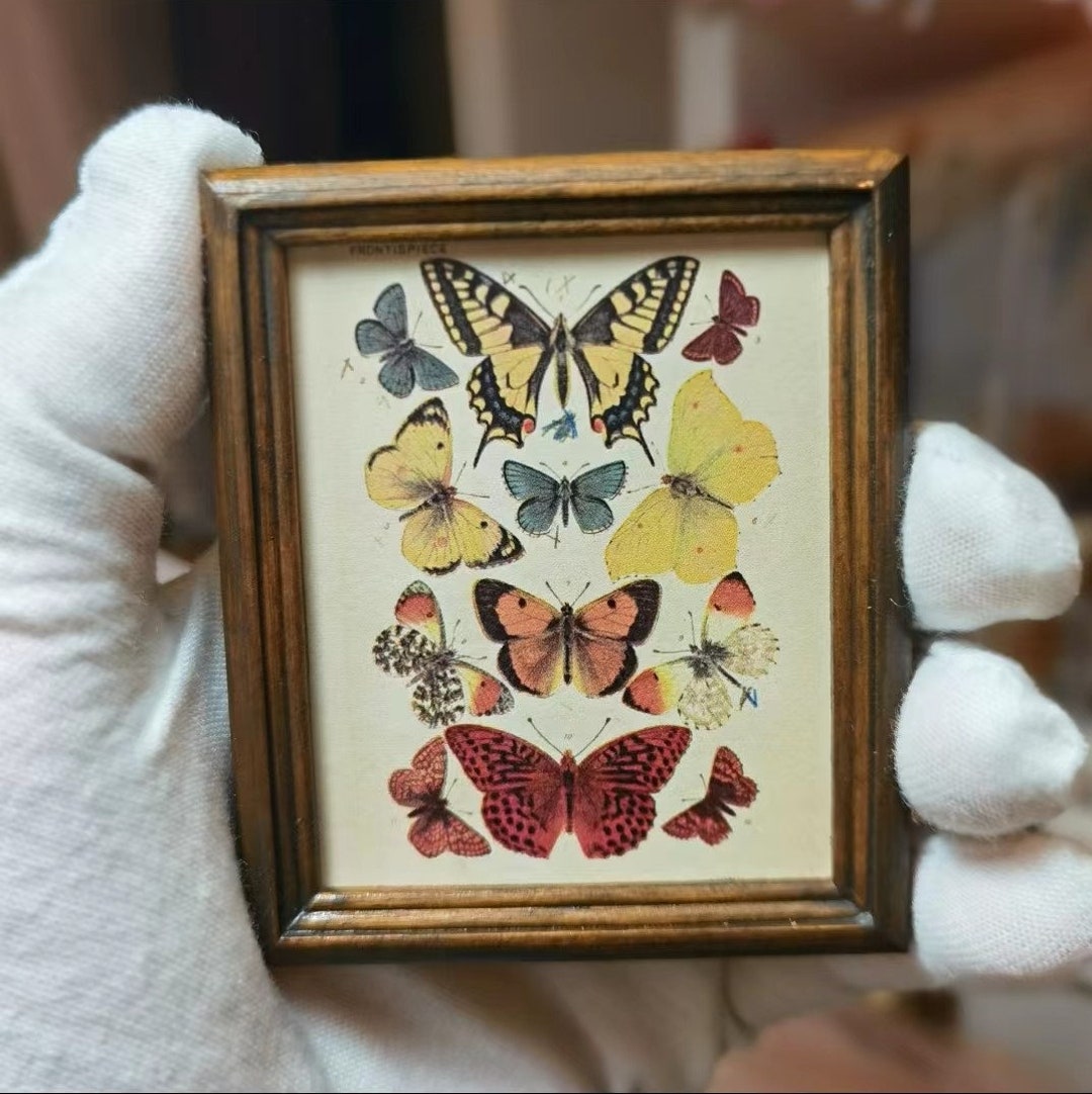 Mini 【butterfly Series No.4】miniature ,small , Mini World Map,handmade ...