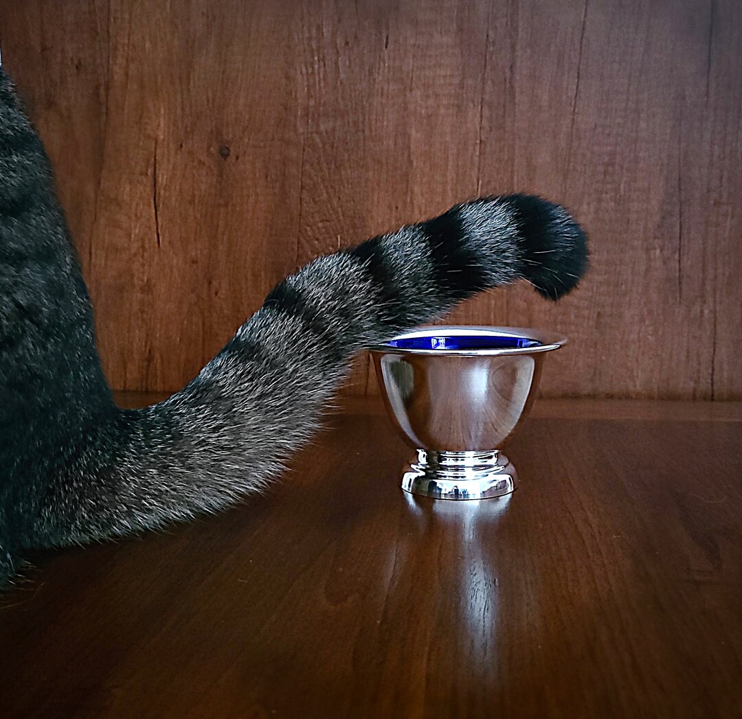 Original Cat Bowl, Silver Bowl, Chic, Fancy, Unique, Luxury, Vintage ...