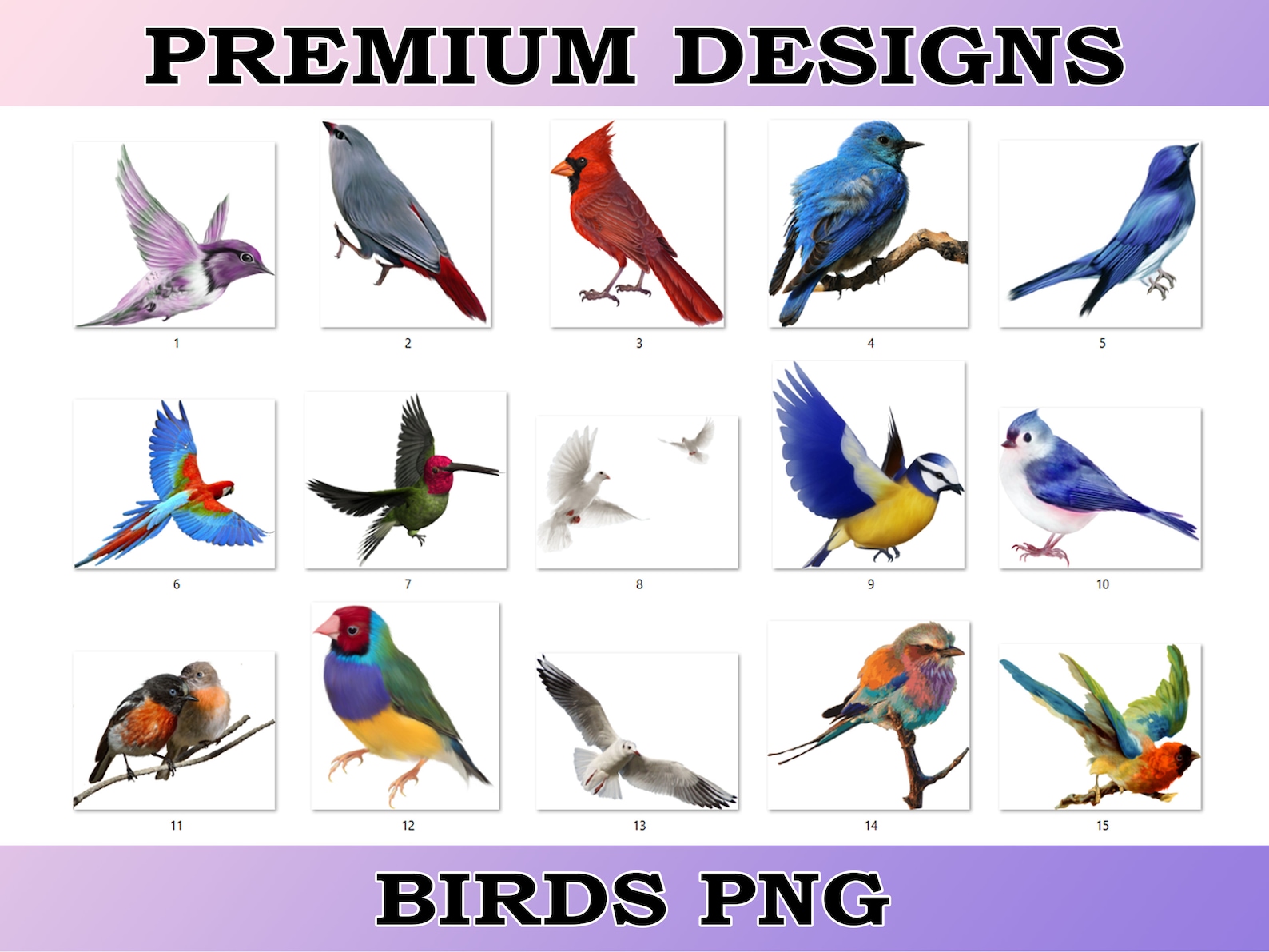 57 Birds PNG Birds Clipart PNG Watercolor Birds PNG Birds Bundle ...
