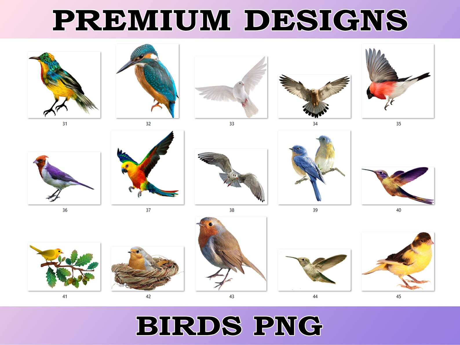 57 Birds PNG Birds Clipart PNG Watercolor Birds PNG Birds - Etsy