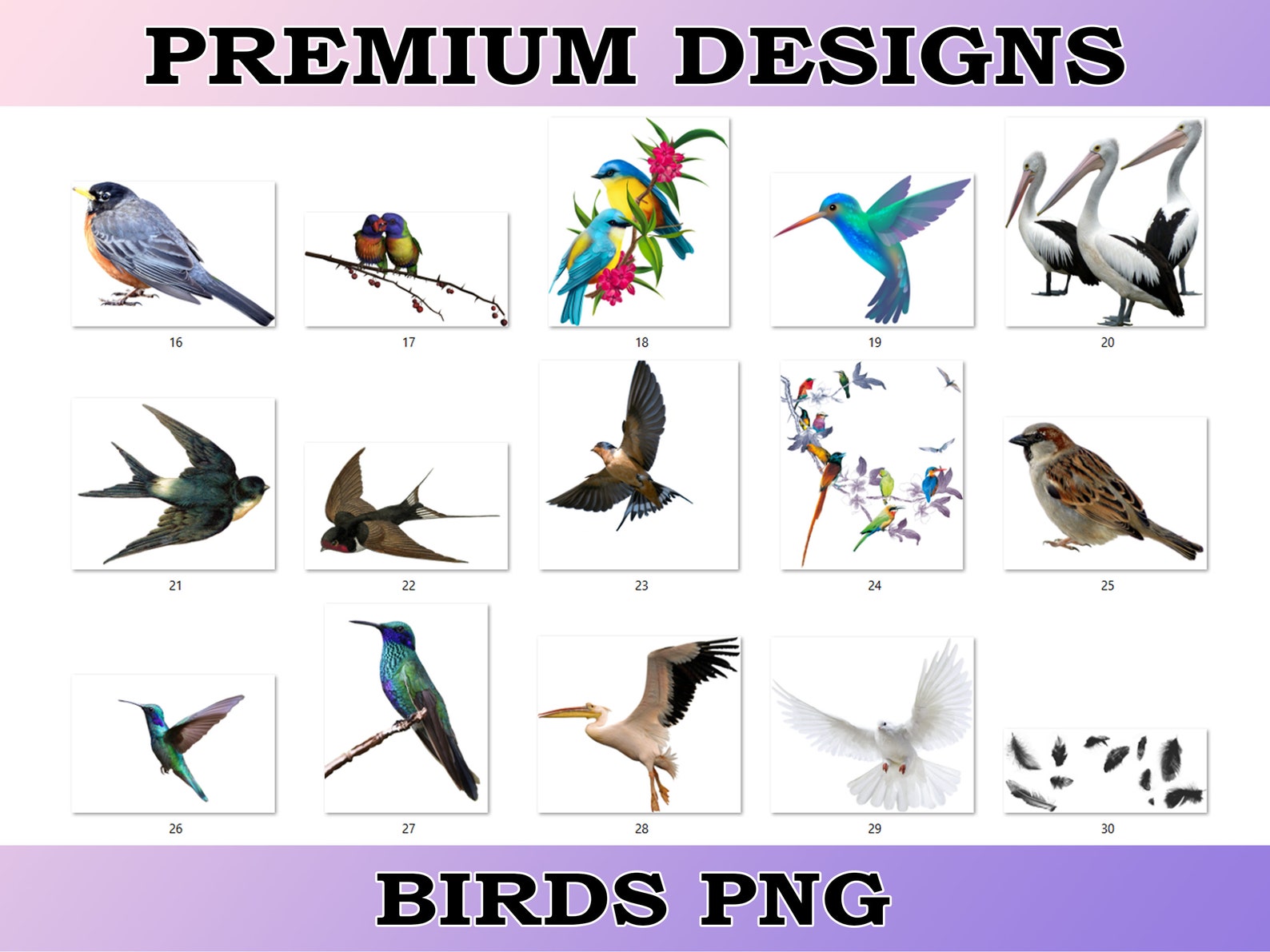 57 Birds PNG Birds Clipart PNG Watercolor Birds PNG Birds Bundle ...