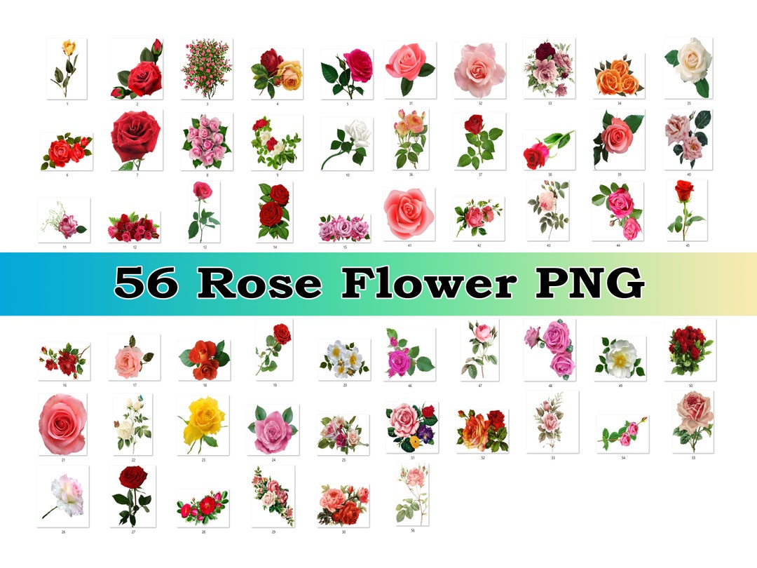 Buy 56 Rose Flowers PNG Rose Flowers With Leaves Watercolor Flower ...