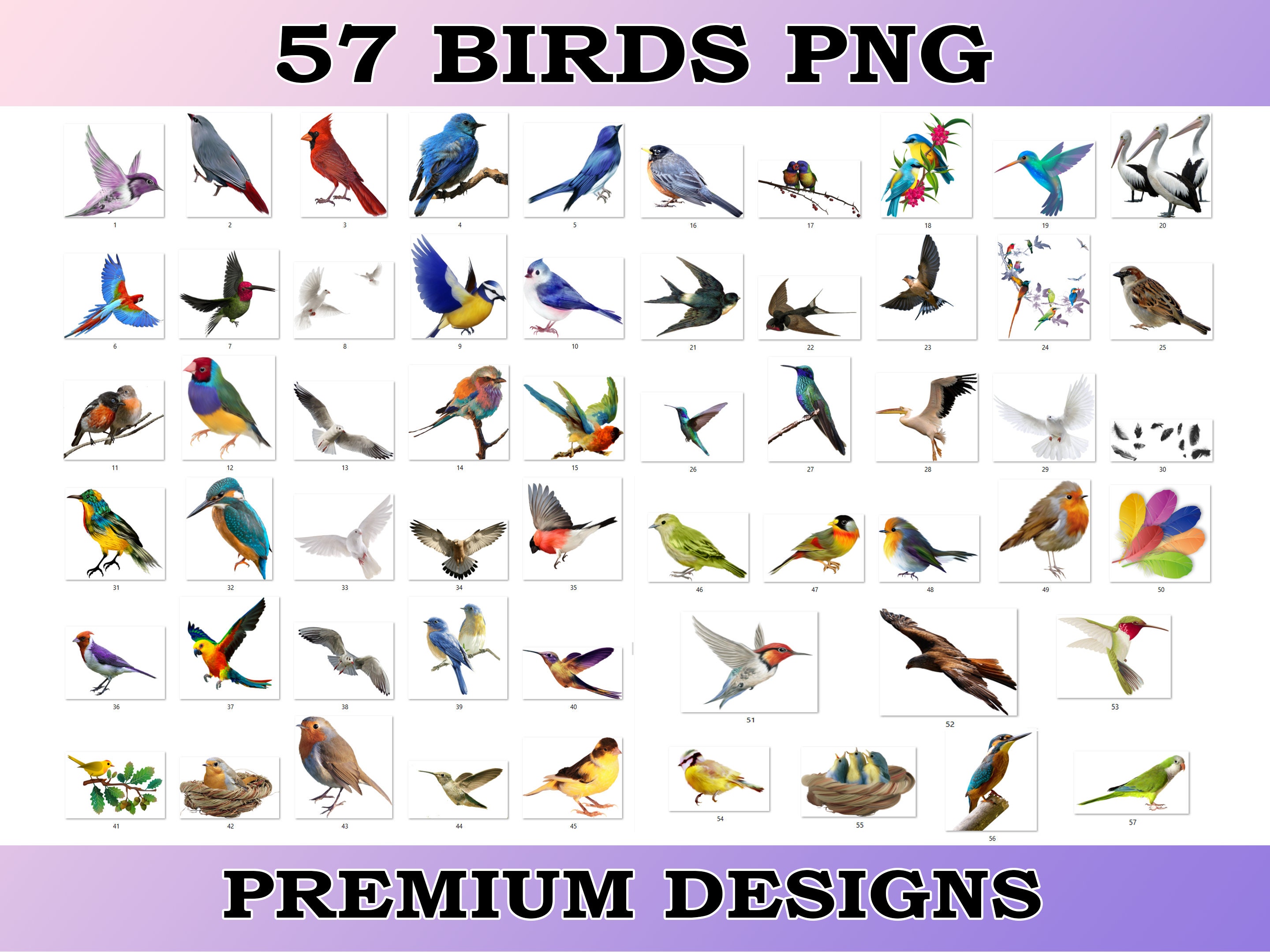 57 Birds PNG Birds Clipart PNG Watercolor Birds PNG Birds Bundle ...