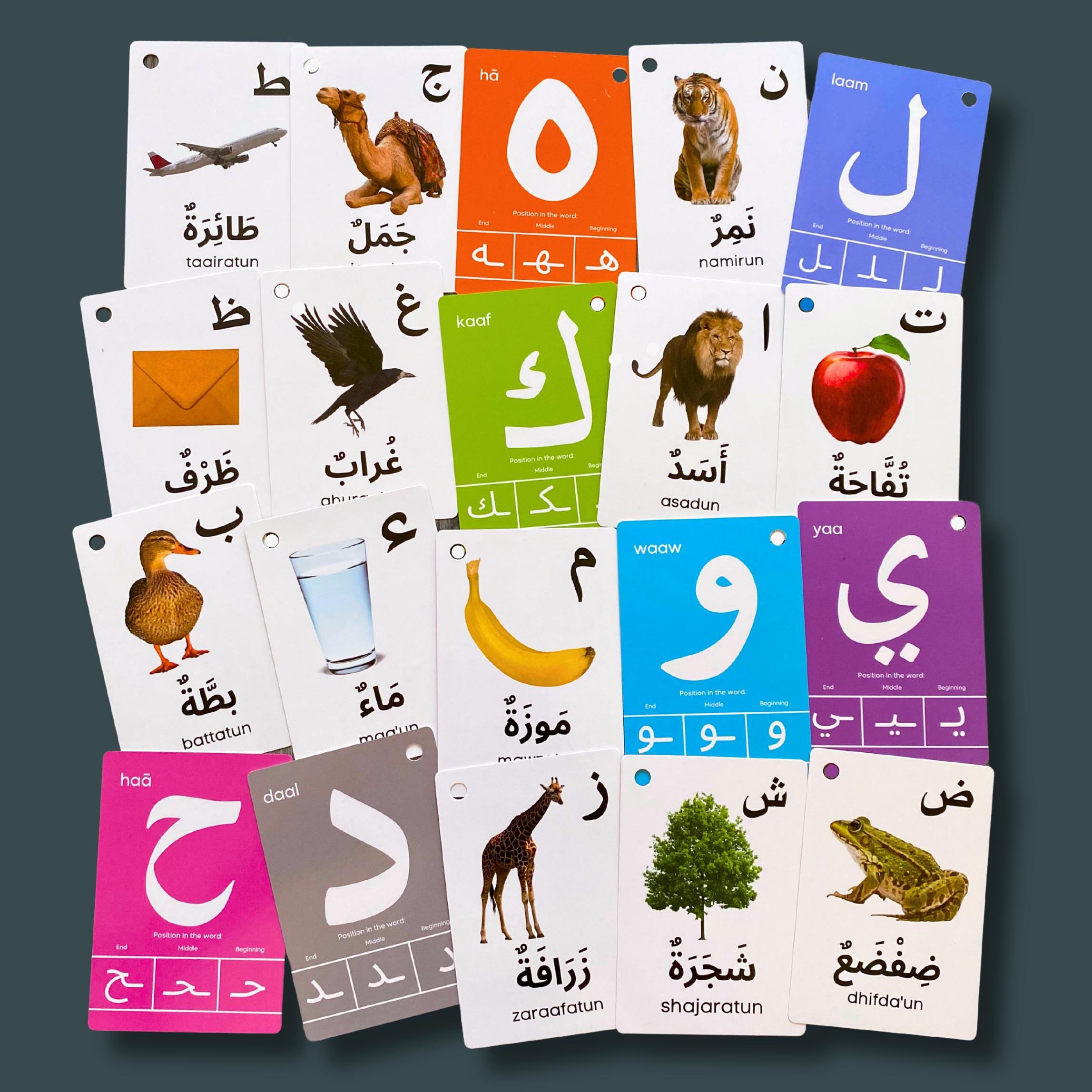 Arabic Alphabet Flash Cards, Children Learning Arabic Words, Islamic ...