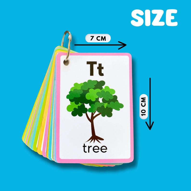 Alphabet Flash Cards Educational Uppercase Lowercase ABC Learning ...