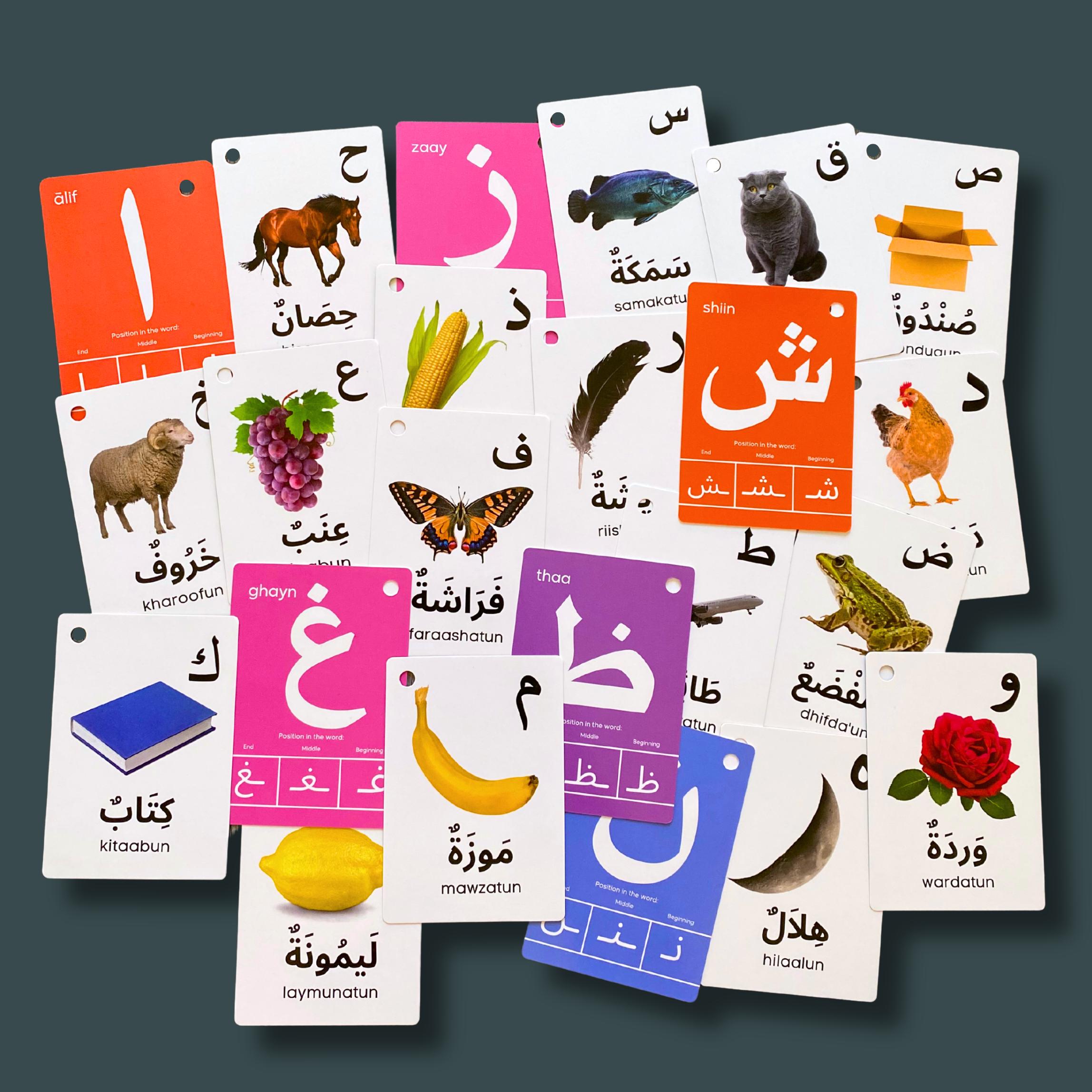 Arabic Alphabet Flash Cards, Children Learning Arabic Words, Islamic ...