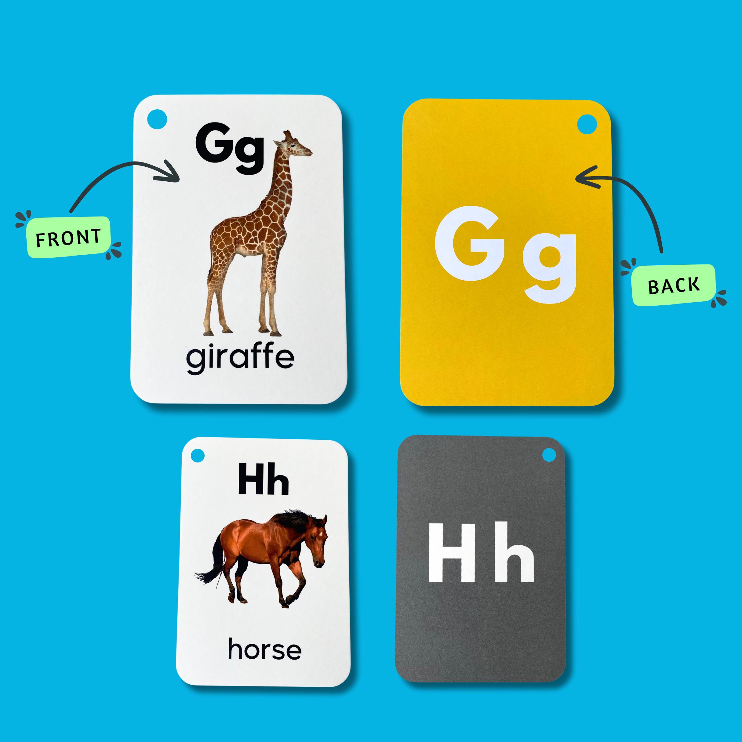 English Alphabet Cards for Kids, Educational Flash Cards, Learning ...
