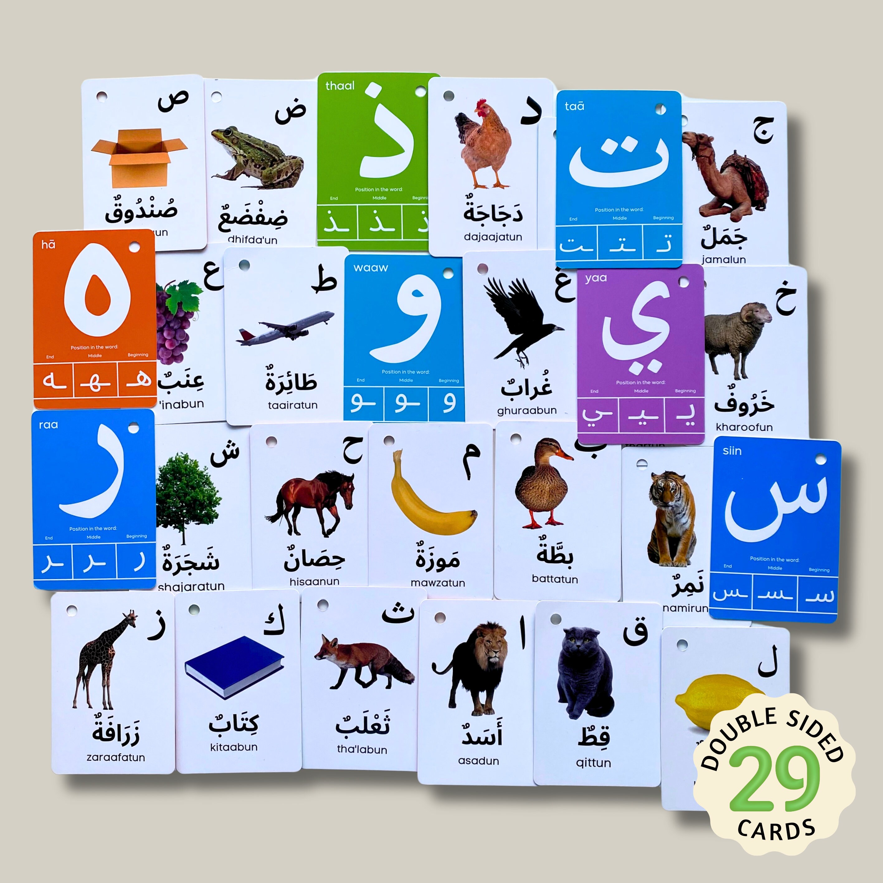 Arabic Alphabet Flash Cards, Children Learning Arabic Words, Islamic ...