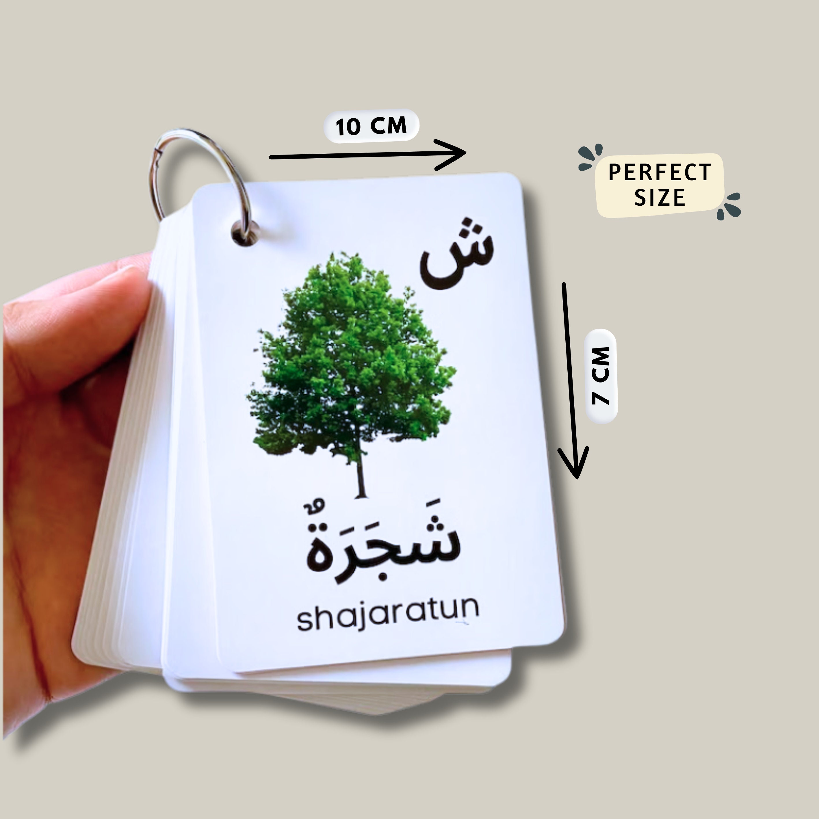 Arabic Alphabet Flash Cards, Children Learning Arabic Words, Islamic ...