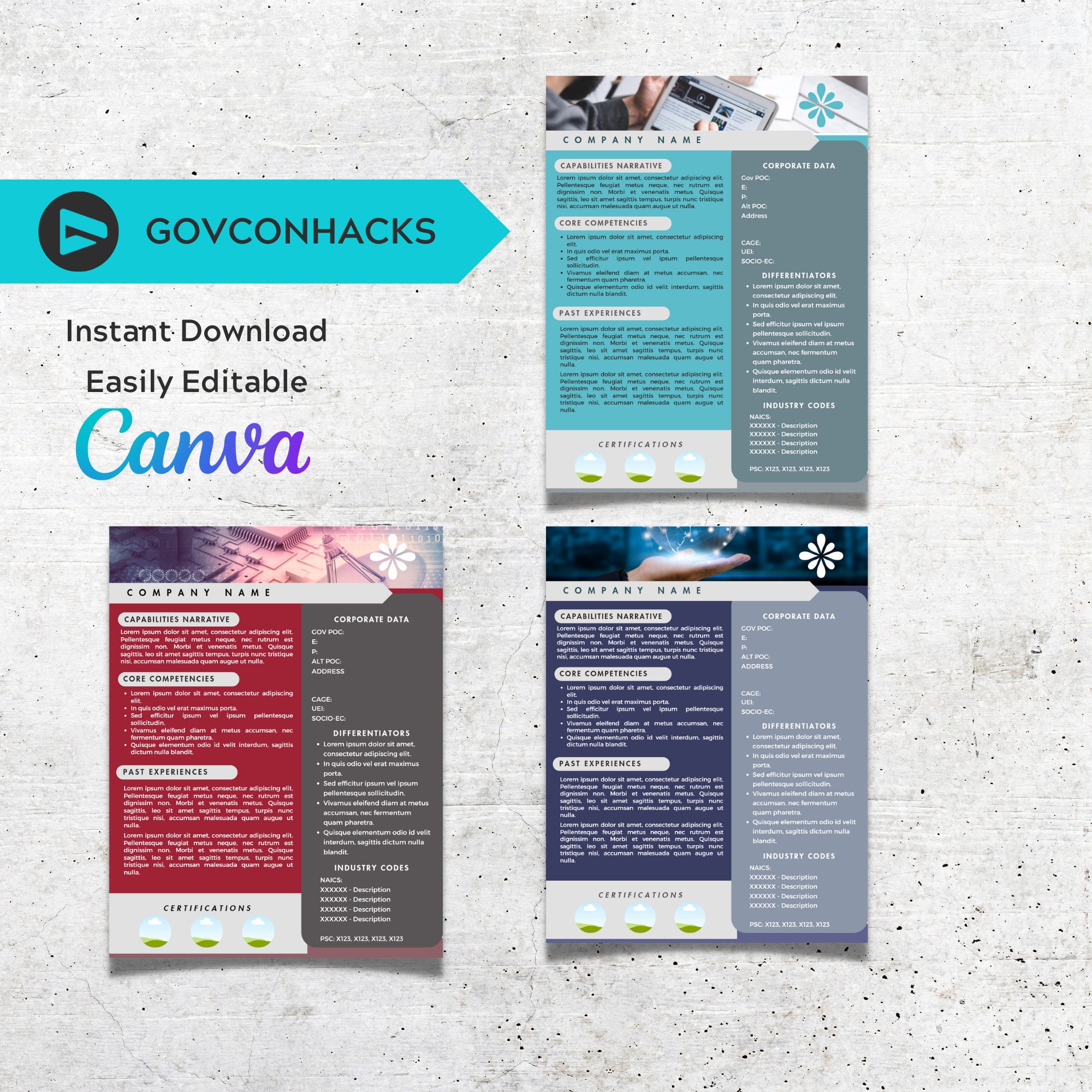 Information Technology & Telecom Capability Statement Template and ...