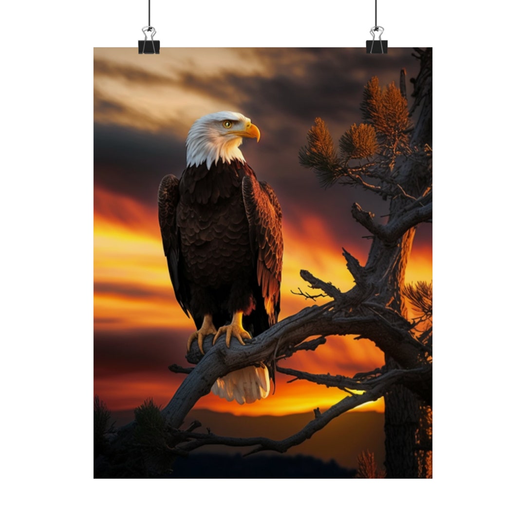 Bald Eagle Premium Matte Vertical Posters - Etsy