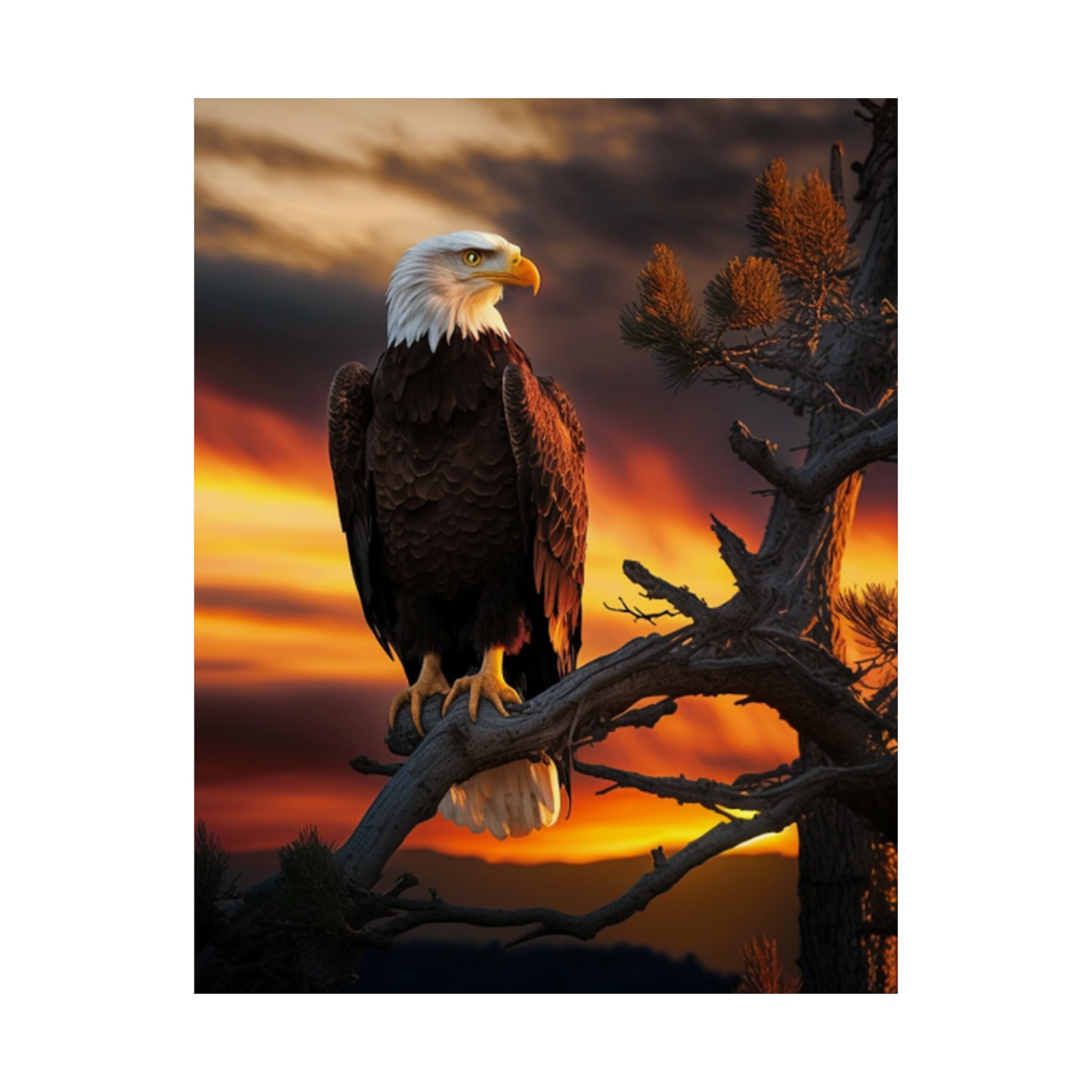 Bald Eagle Premium Matte Vertical Posters - Etsy