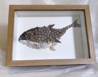 Framed Seashell Wall Art - Etsy