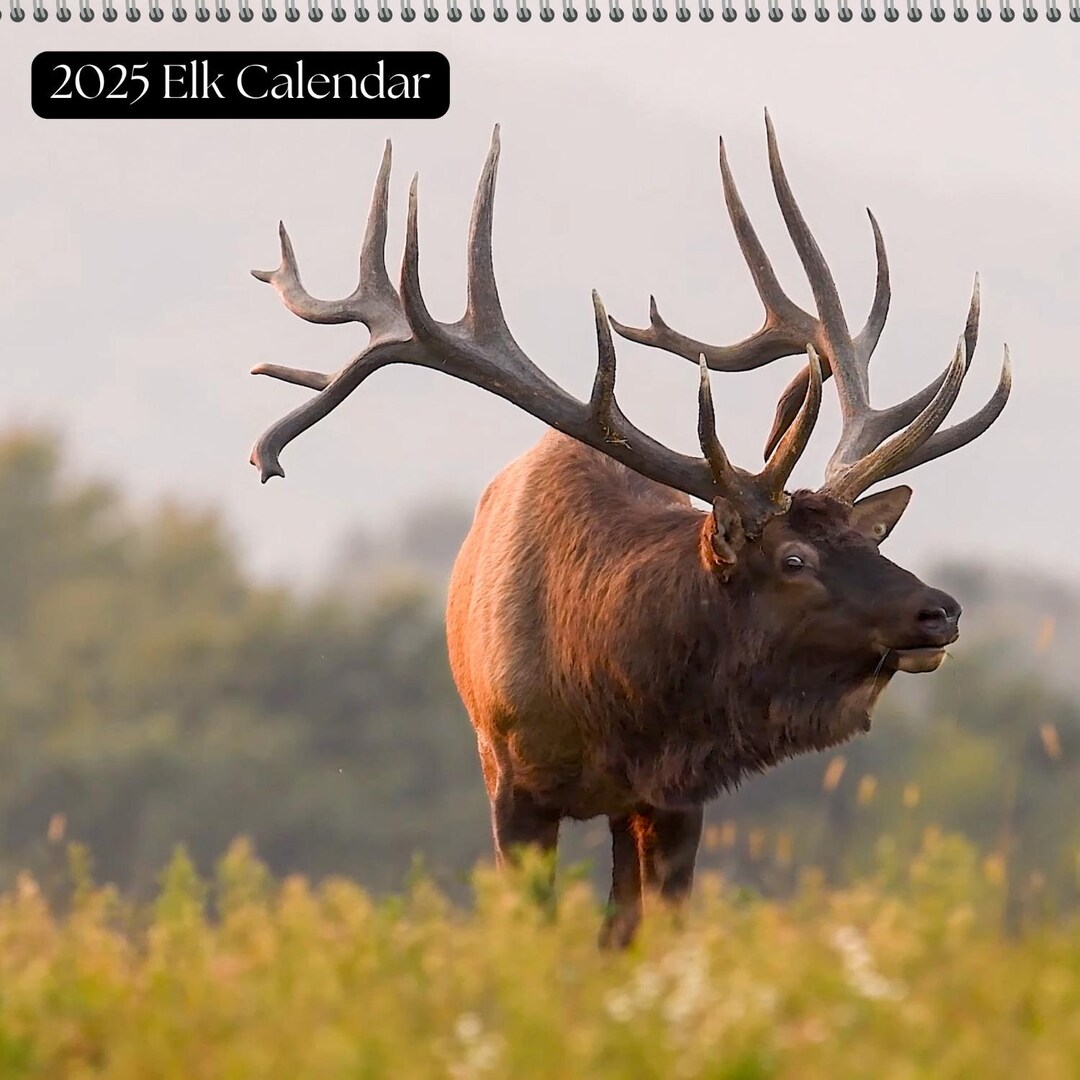 2025 Elk Calendar, Nature Photography, Wildlife Photography - Etsy
